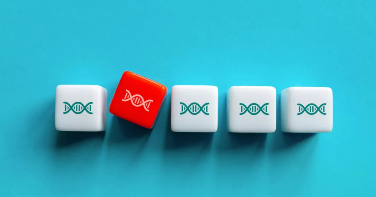 Progress Update On Pilot For Academic And Non Profit Developers Of